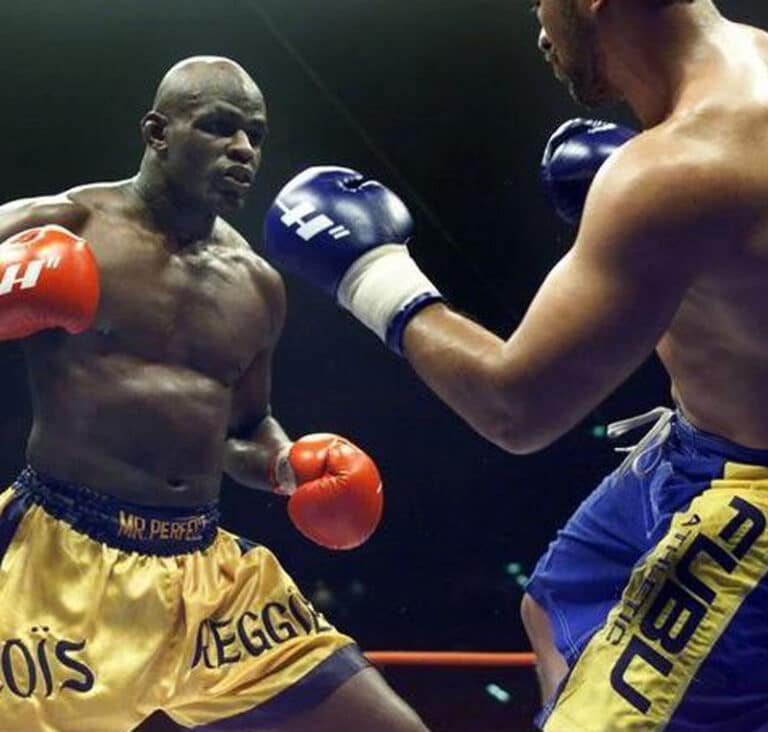 Ernesto Hoost: Mr Perfect The Legendary Figure of Kickboxing - Muay Thai